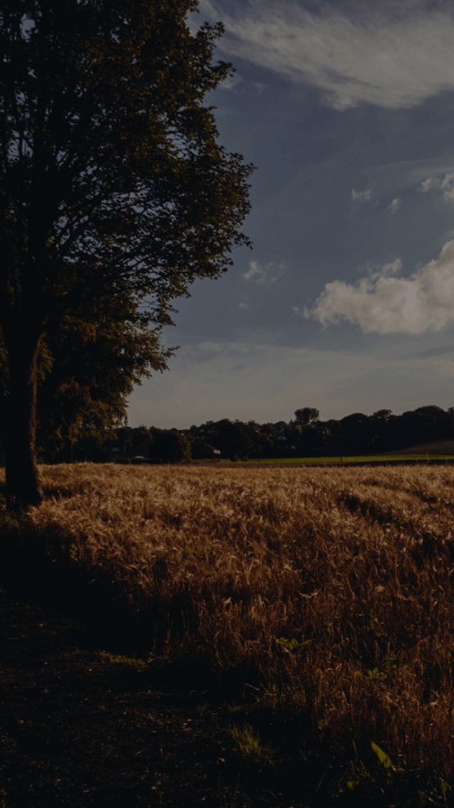 Spoon | Audio Live Streaming Platform for Everyone