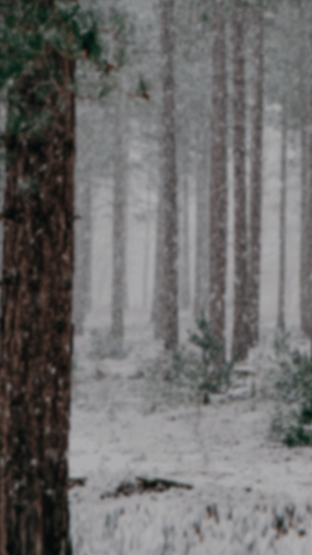 Spoon | Audio Live Streaming Platform for Everyone