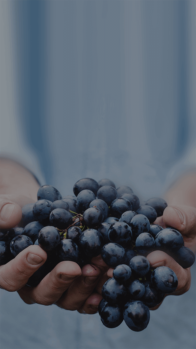 Spoon | Audio Live Streaming Platform for Everyone