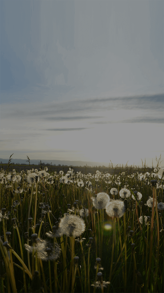 Spoon | Audio Live Streaming Platform for Everyone