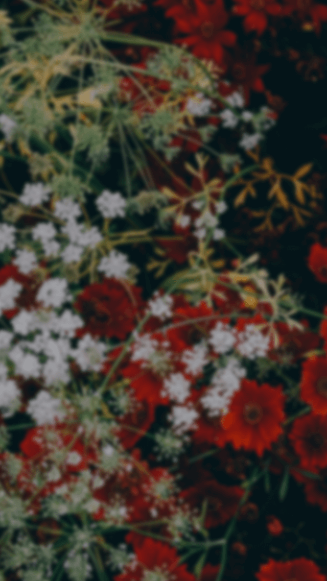 Spoon | Audio Live Streaming Platform for Everyone