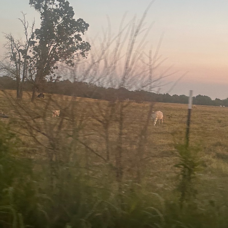 Spoon | Audio Live Streaming Platform for Everyone