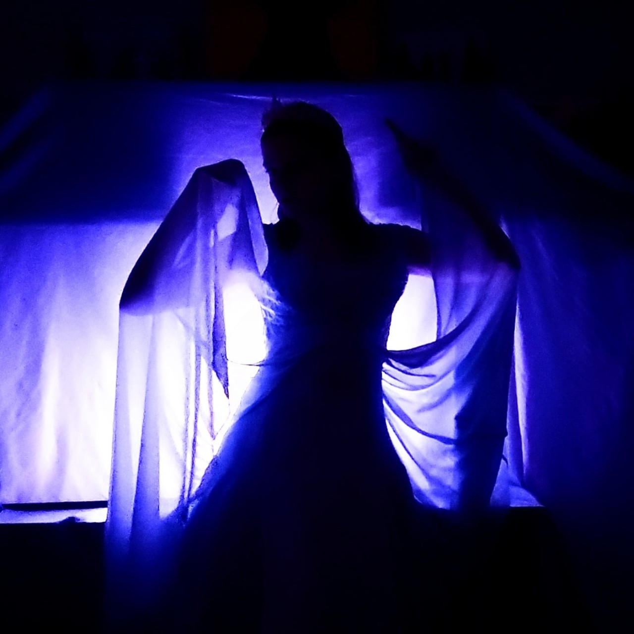 Dana Stark(@01kq6v7p)'s Streamer Profile | Spoon